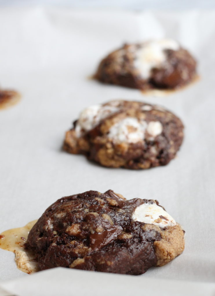 S'mores Cookies - So Happy You Liked It